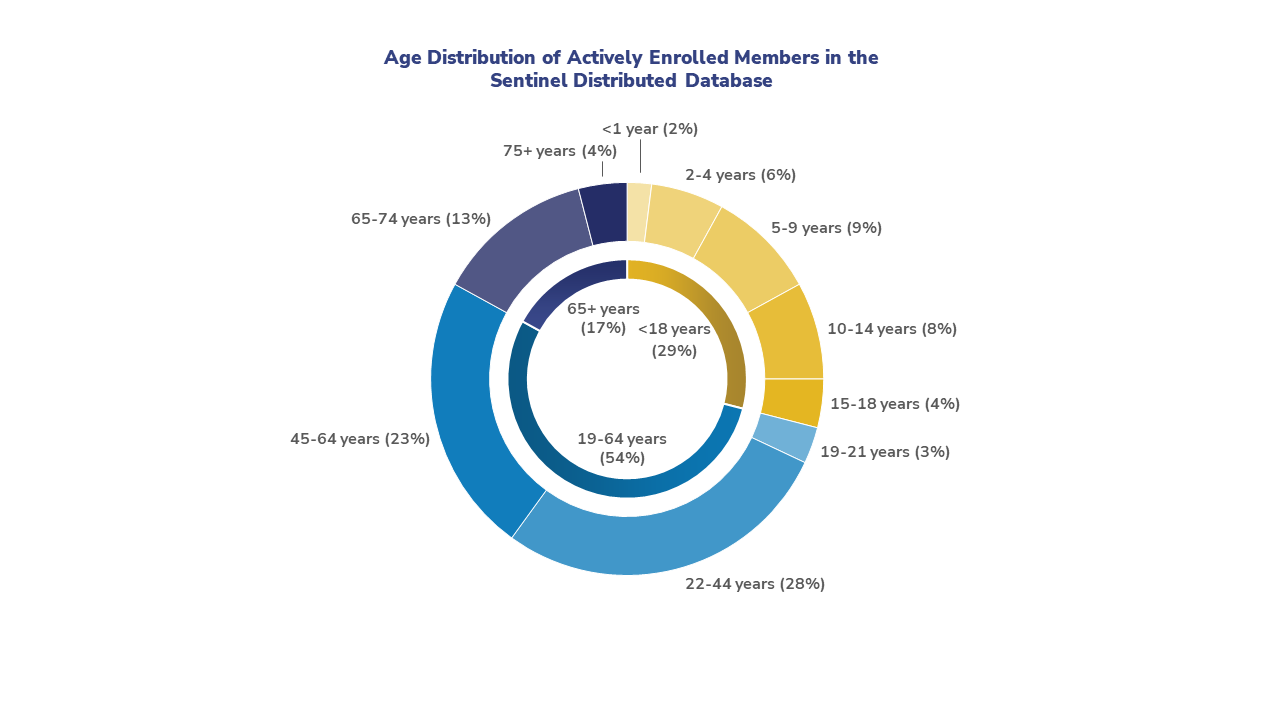 Key Database Statistics | Sentinel Initiative